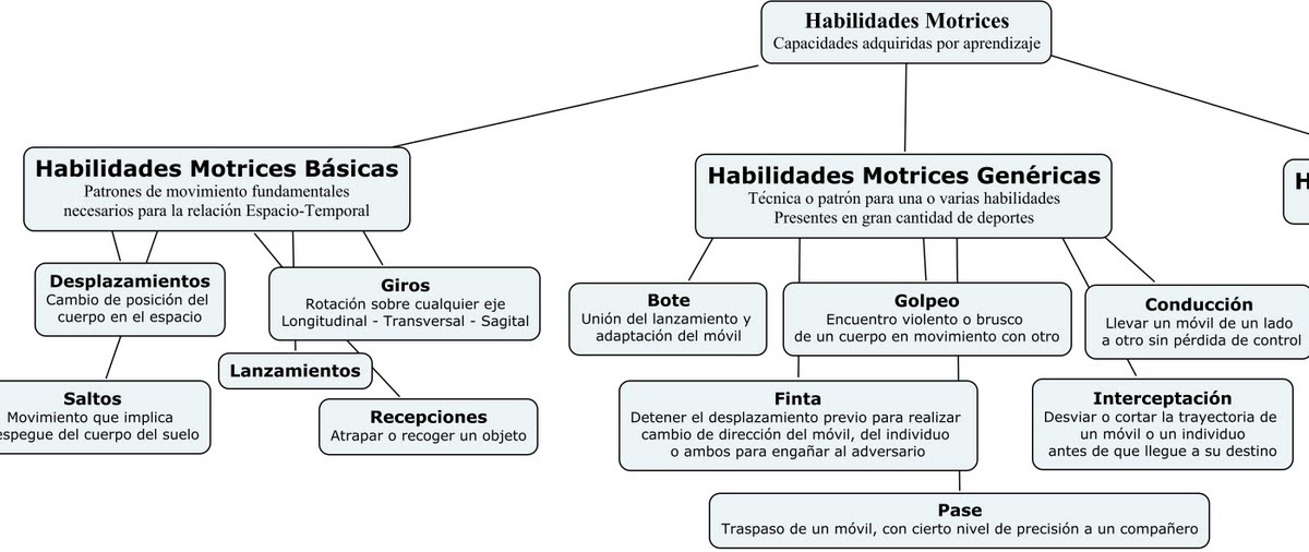 Educación Física Fernando hidalgo Gallardo: ¿QUÉ Y CUALES SON LAS ...