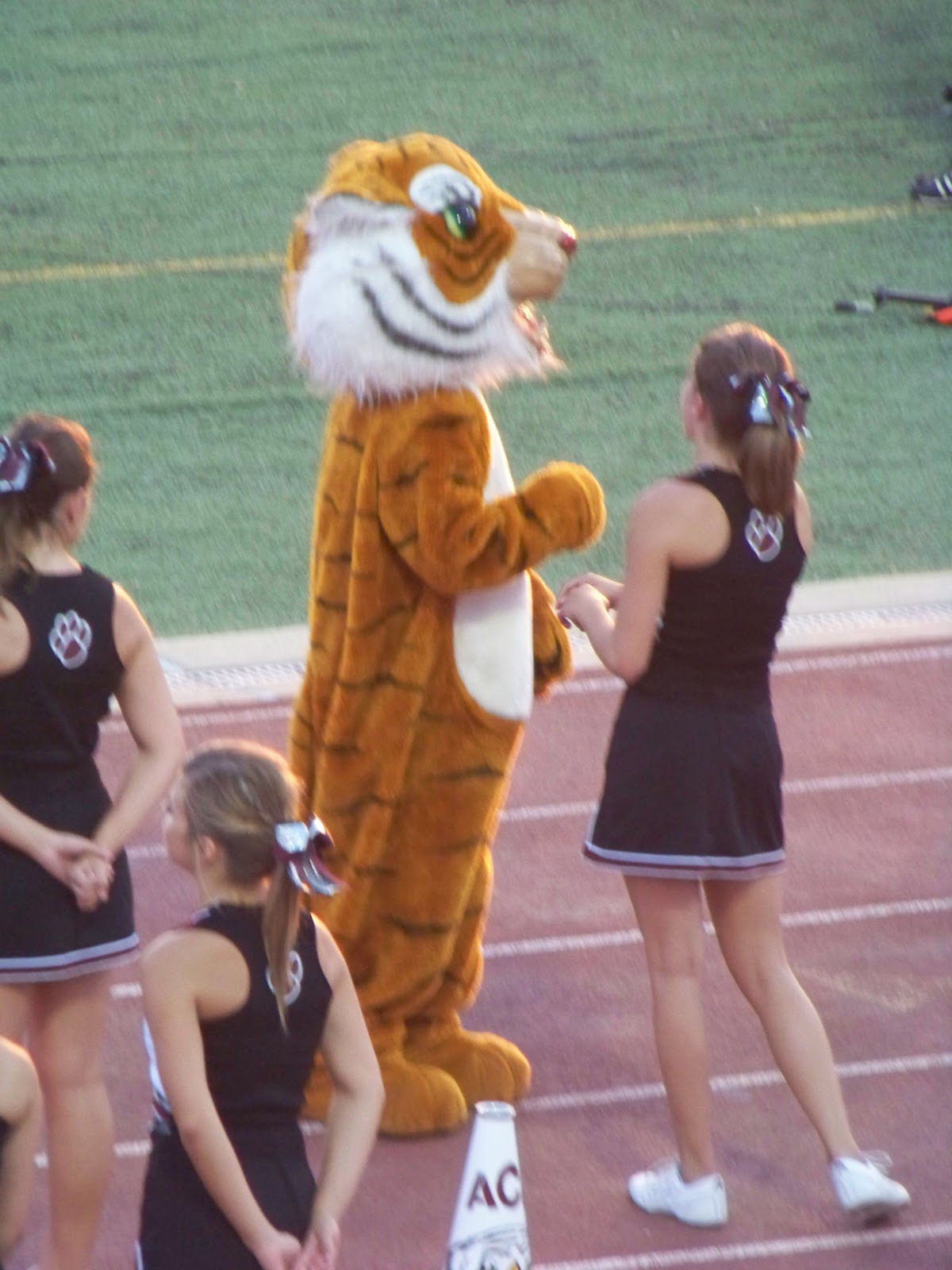 CHS Tiger Cheerleaders: Varsity has Tiger Pride!