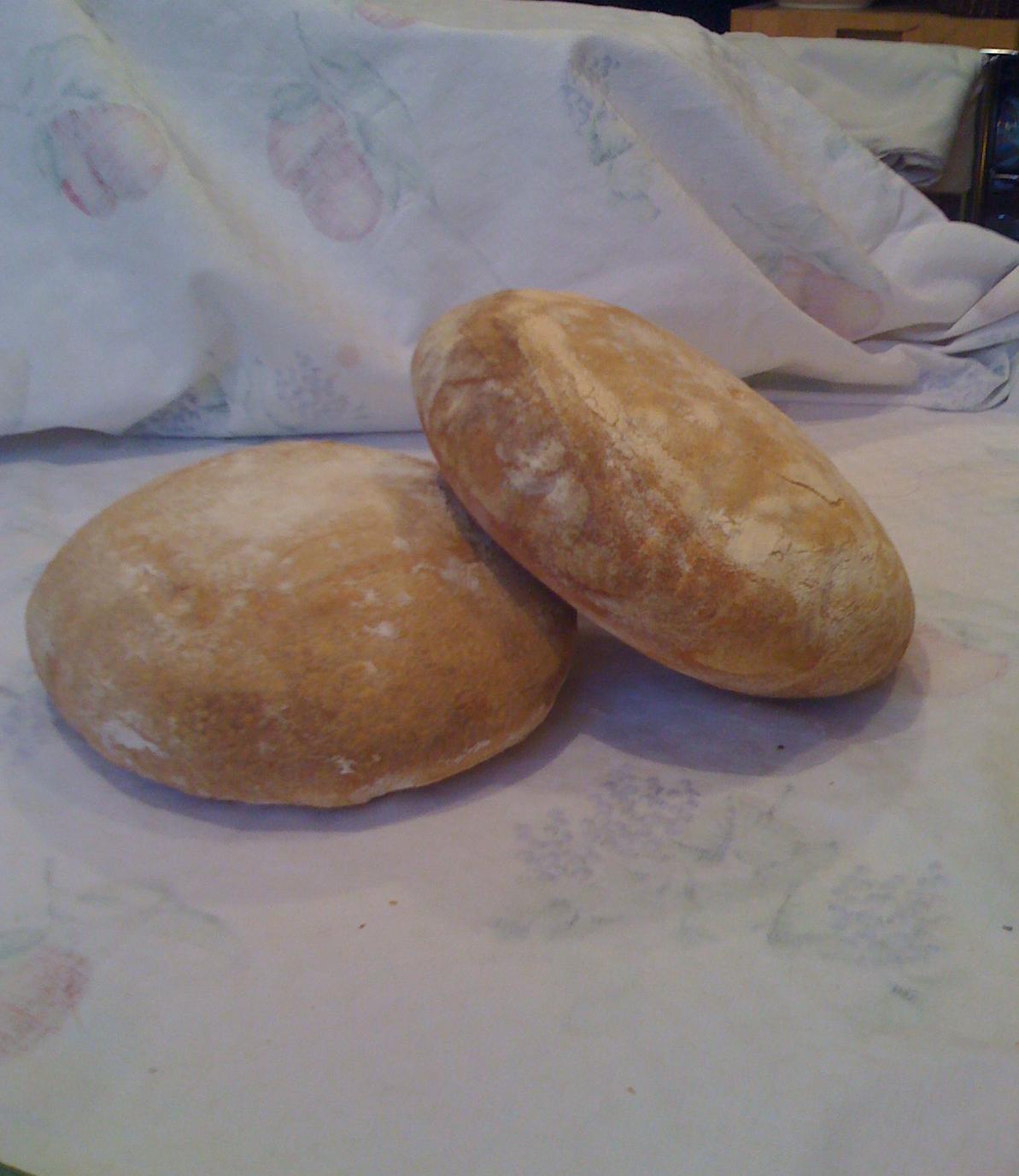 OMINI PASTICCINI: PANE CAFONE NAPOLETANO con lievito madre