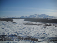 Alaska At Last: From Eek, Alaska With Love