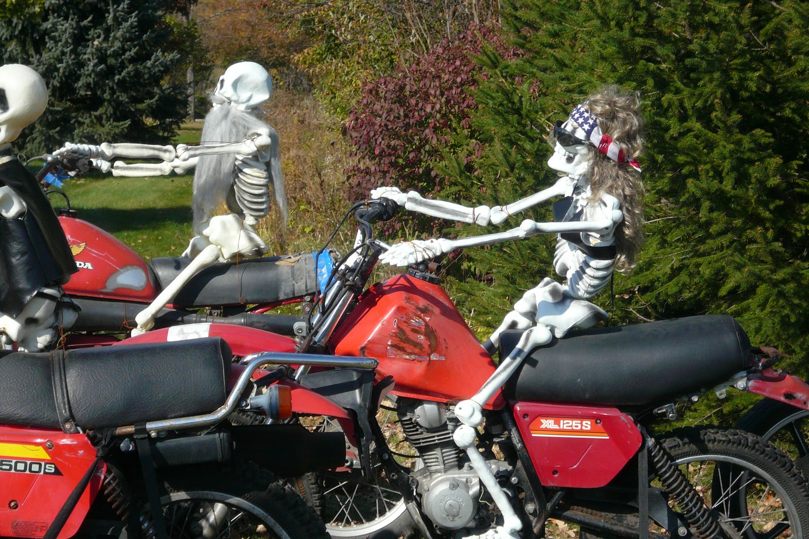 Cozy Chicks: Hot Halloween Bikers