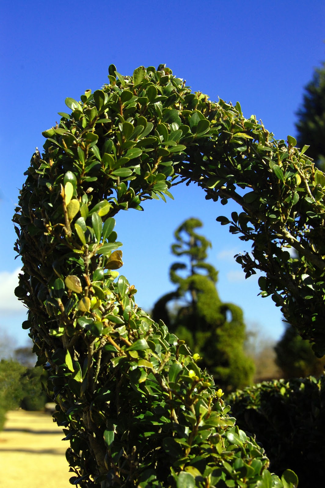 Self-taught SC: An Ethological & Artistic Survey: Pearl Fryar Topiary ...