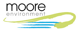 Moore Environment Blog