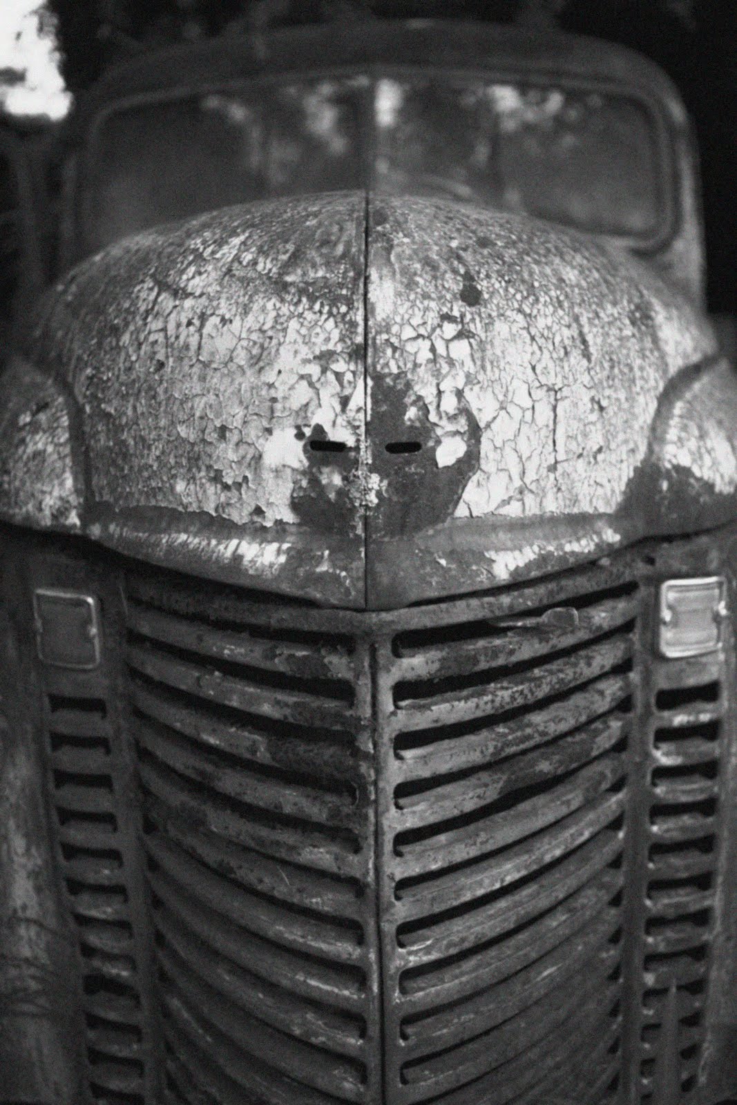 Jarrod Hunt Photography: Pictorialist style photo experiment