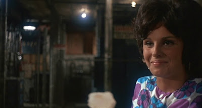 my new plaid pants: October 2009