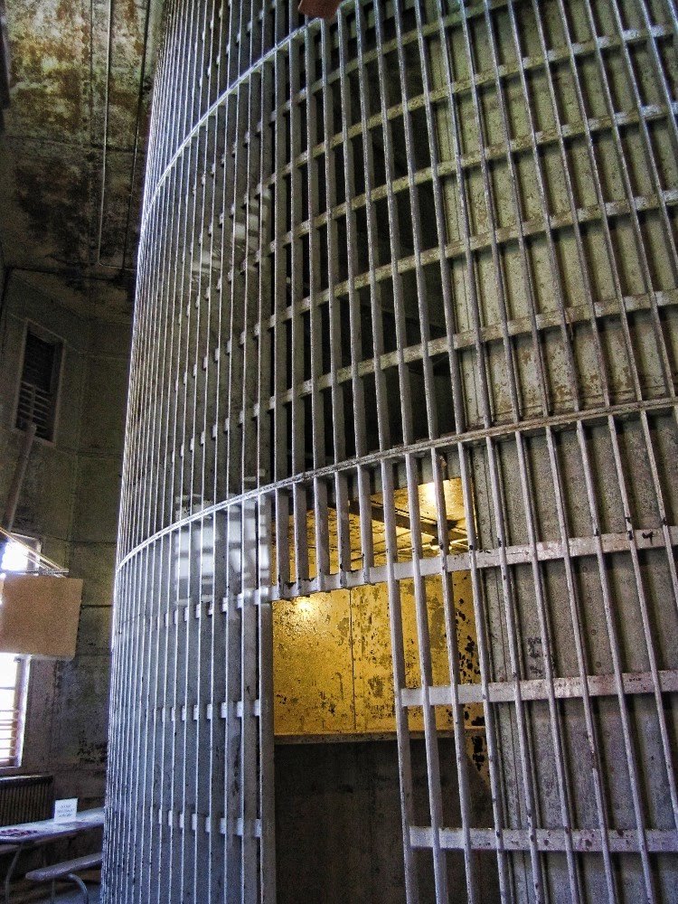 Life on the Open Road: Living in a Squirrel Cage