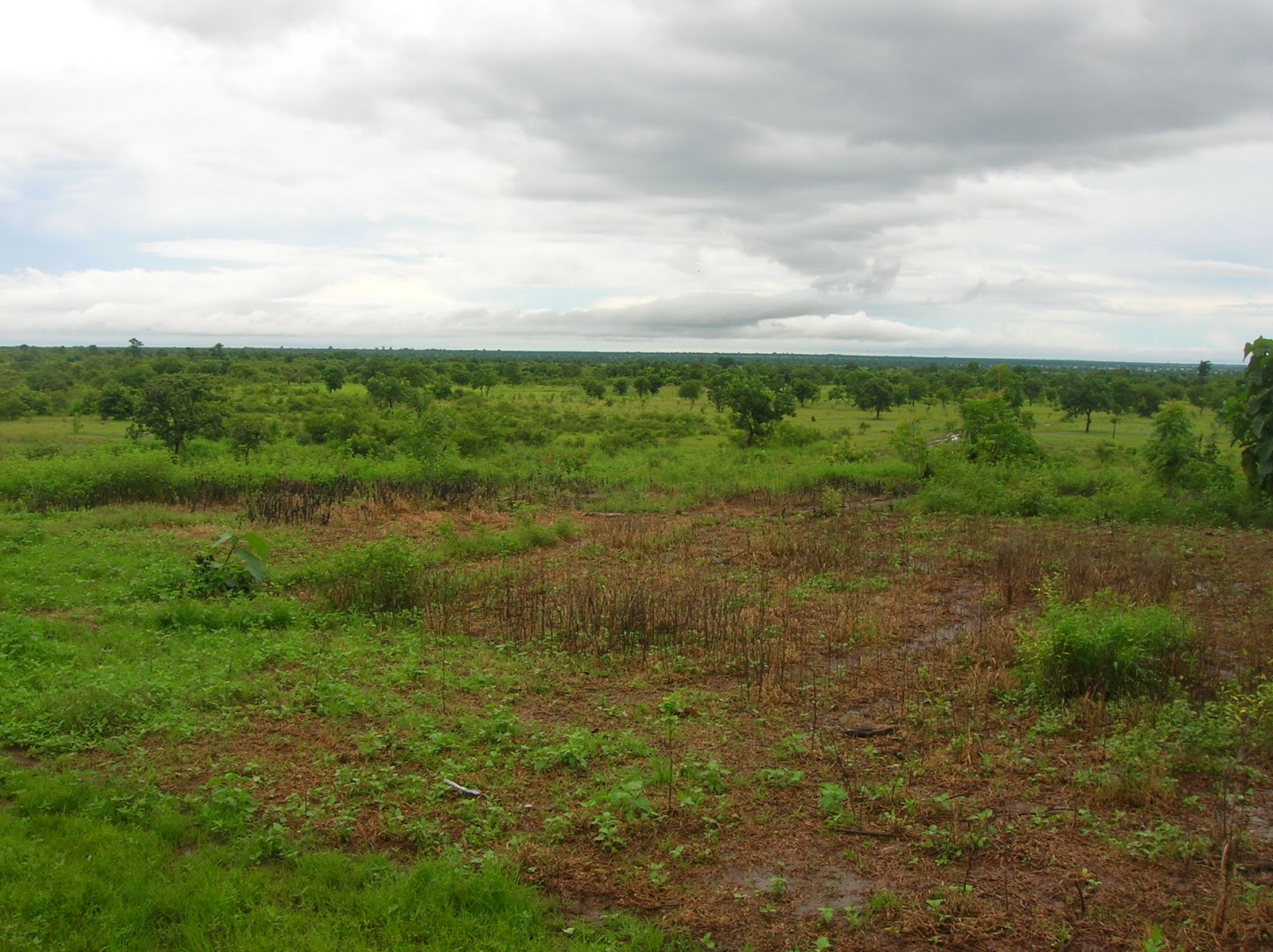 Mark in Ghana: Field Trips