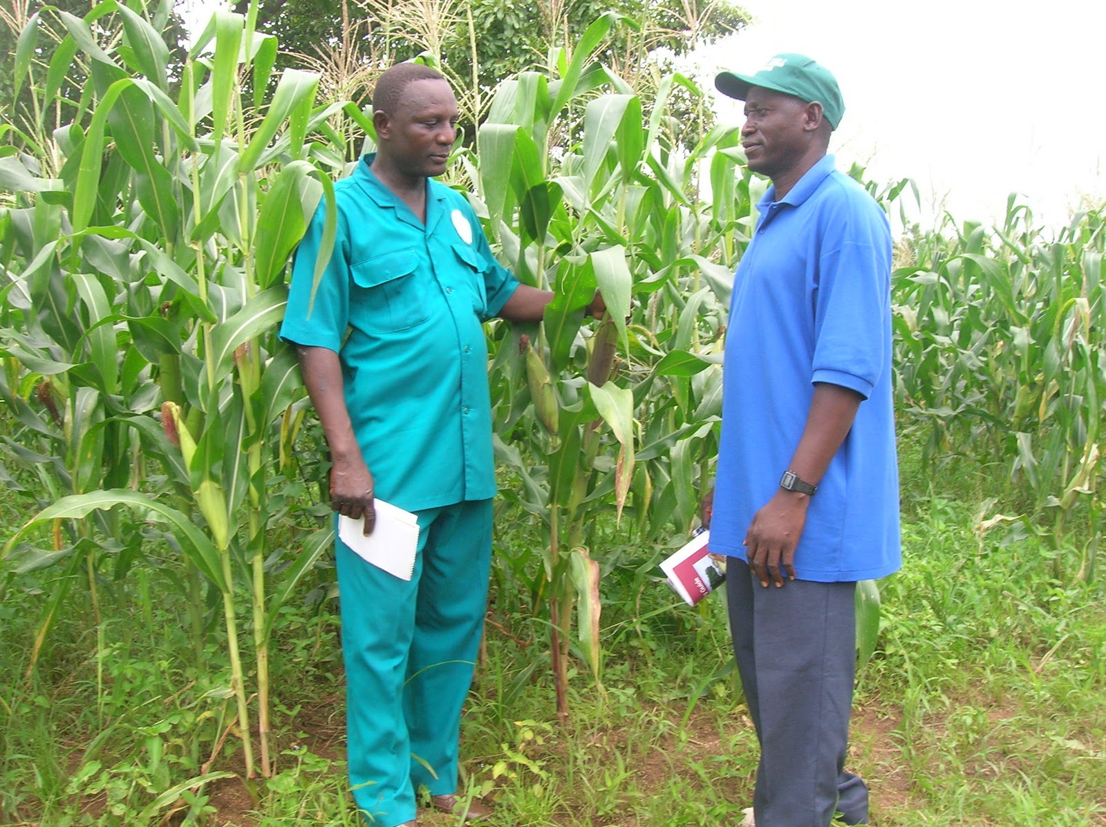 Mark in Ghana: Field Trips
