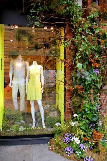 A Flowering Sloane Square for Chelsea Flower Show