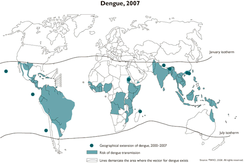 Infection Landscapes: Dengue in the United States