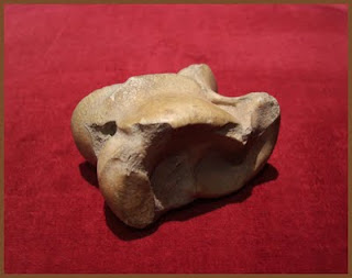 EL JUEGO DE LA TABA: El juego de la taba (100)