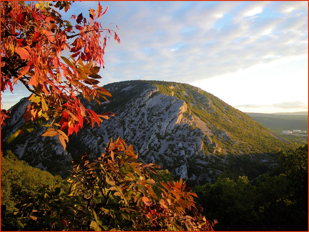 le Vie del Carso: 2010 - Anno del Monte Carso
