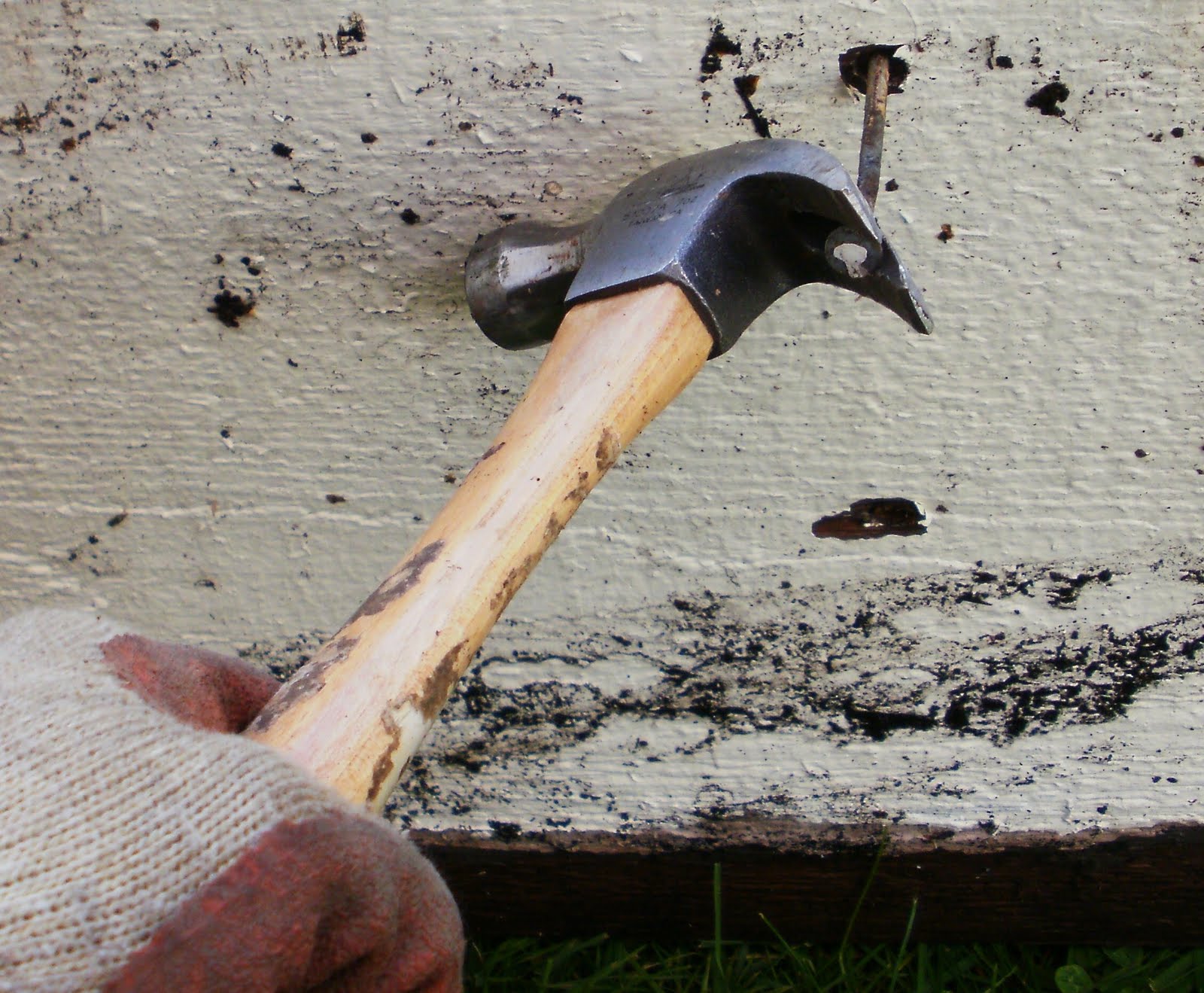 Really Rose: Garden Number 2 - More Boards