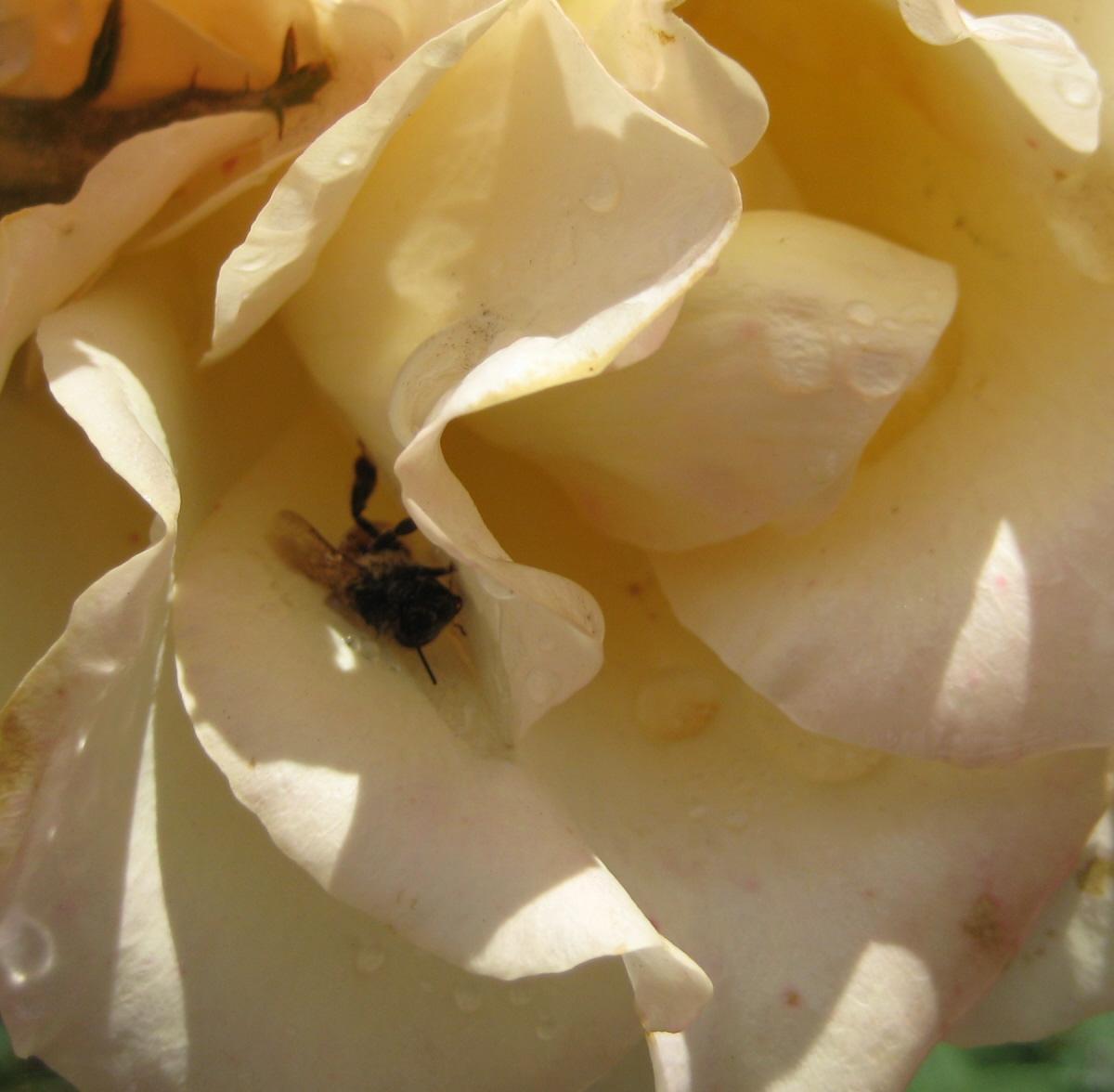 What I See: April 2010