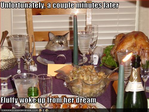 Happy Thanksgiving Funny Cat