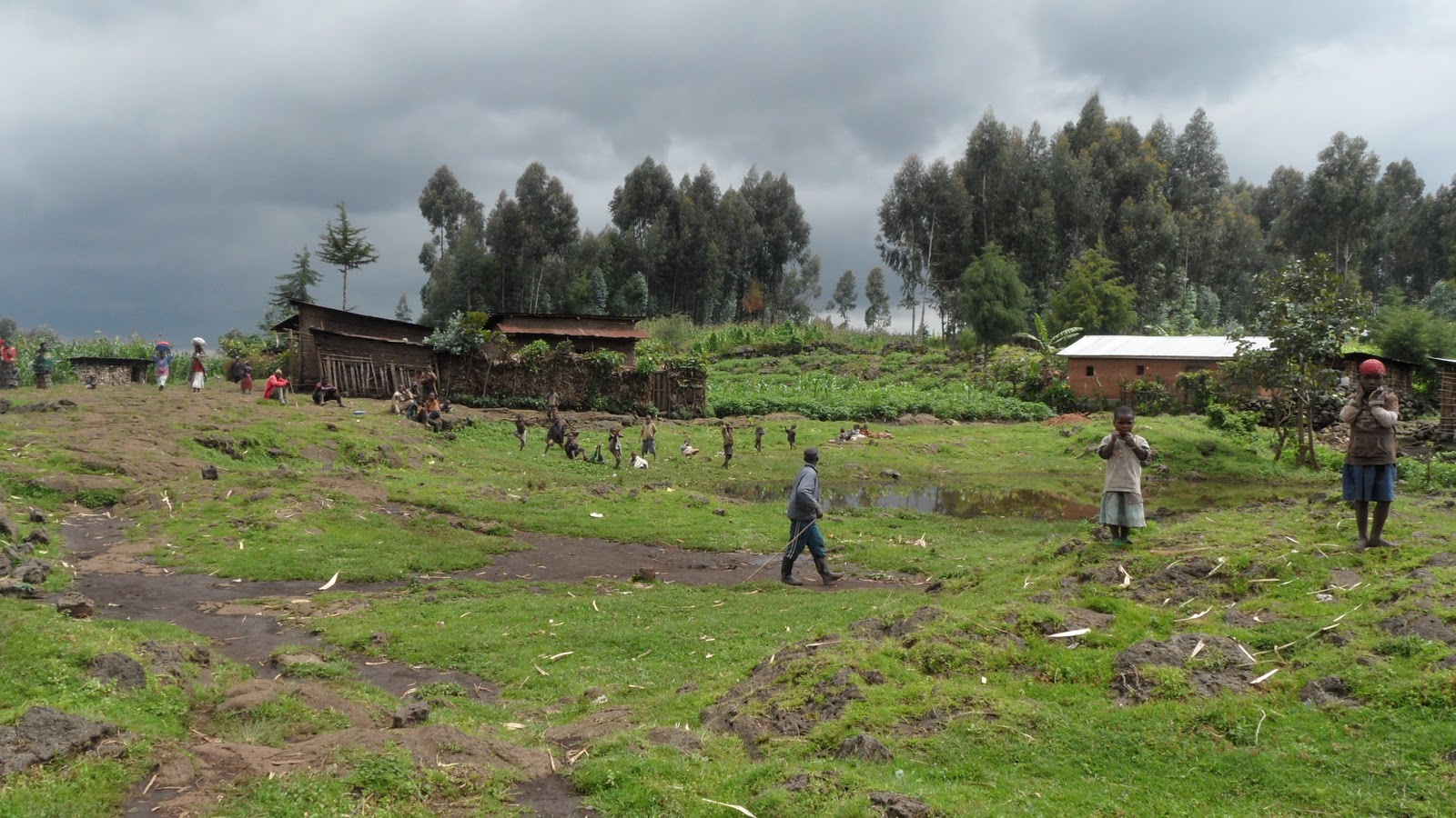Spark MicroGrants: Kinigi, Ruhangeri, Rwanda