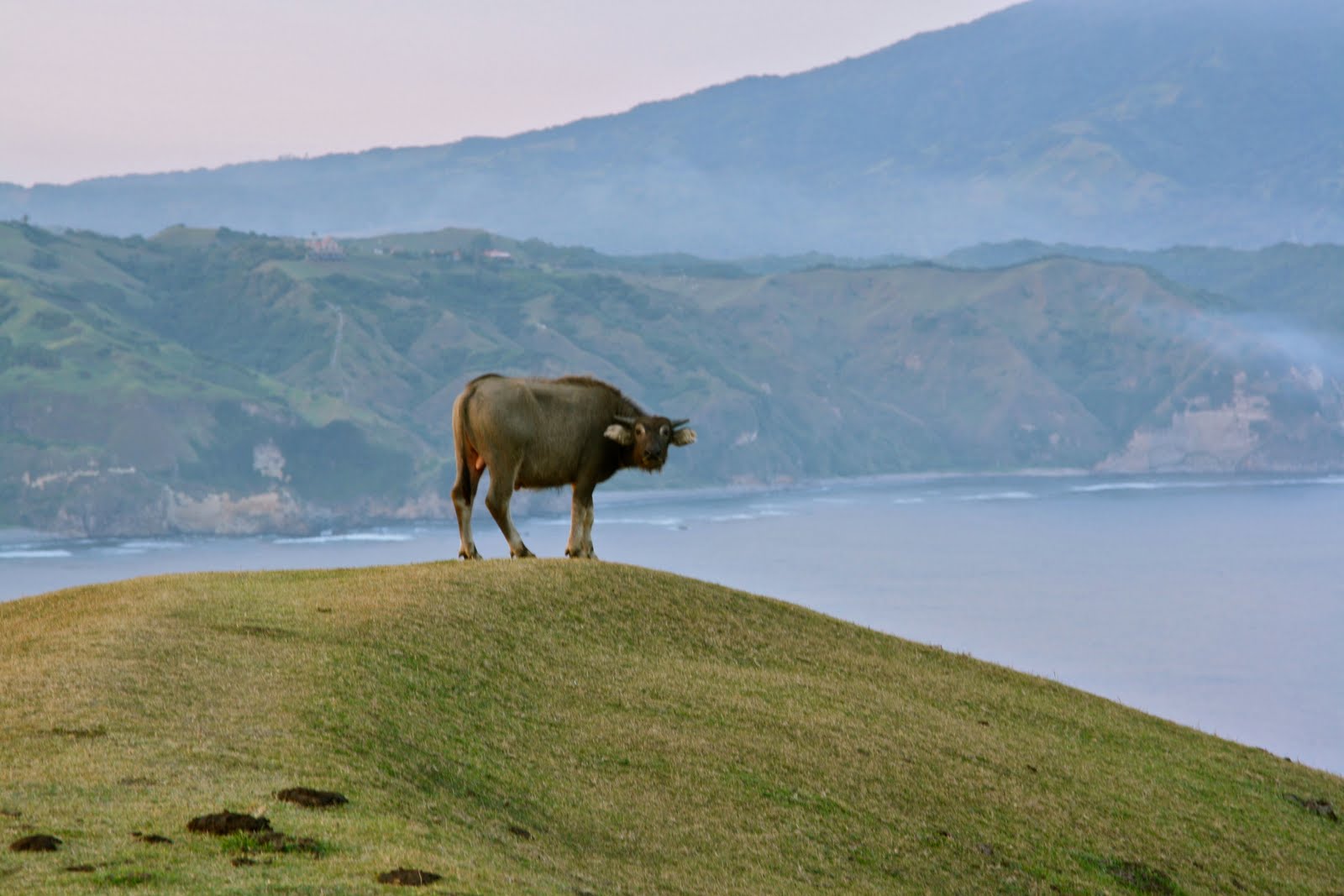 Asunta Rufino's Travels Thru Life...: BATANES - THE HIDDEN PARADISE ...