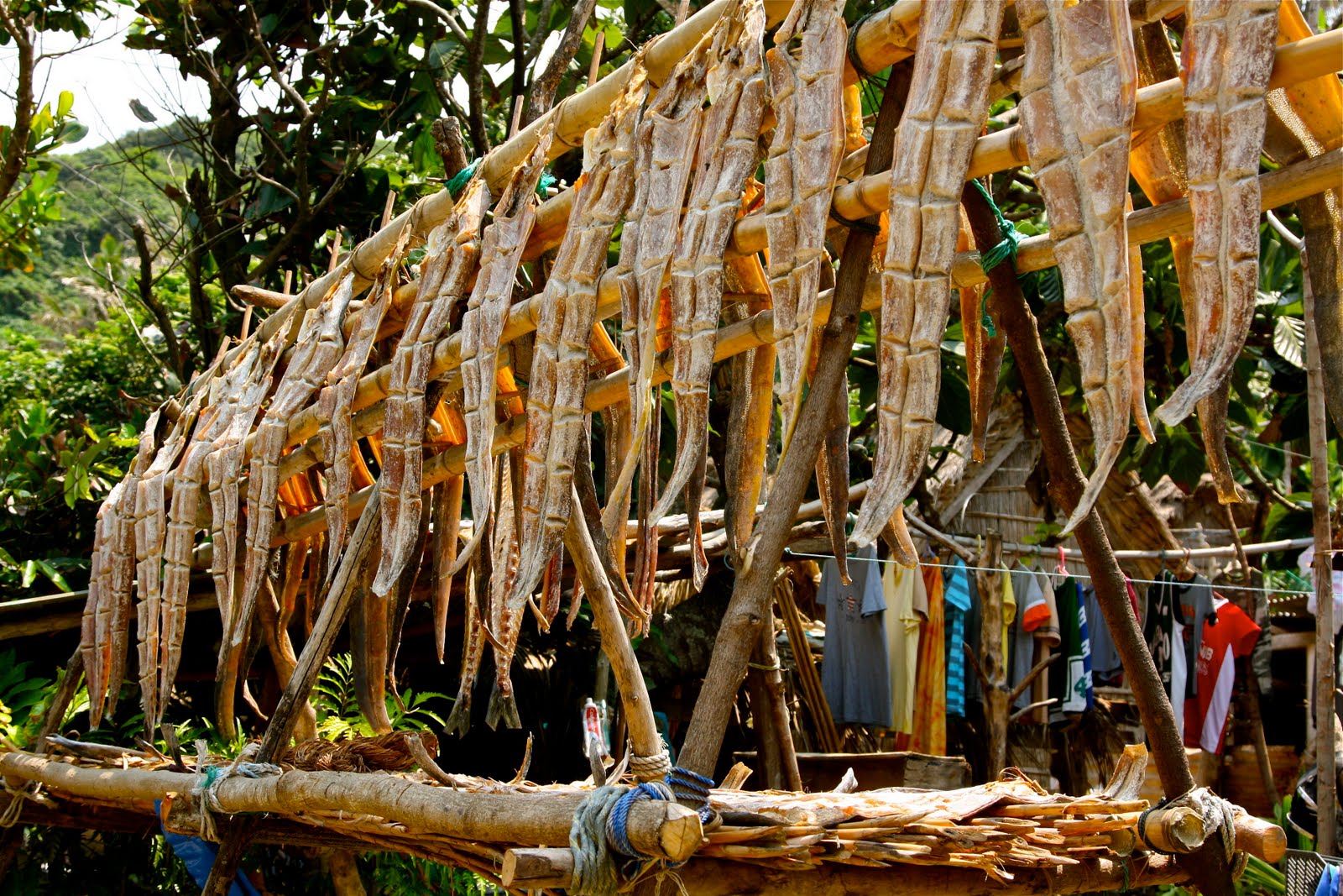Asunta Rufino's Travels Thru Life...: BATANES - THE HIDDEN PARADISE ...