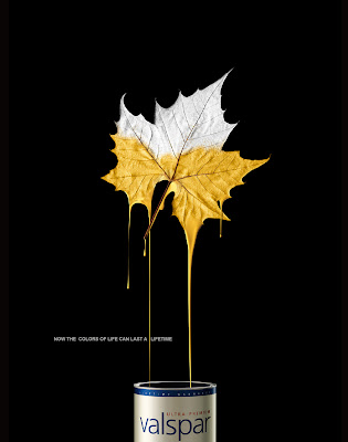 Creative Minds: Creative Paint Advertising Campaigns.