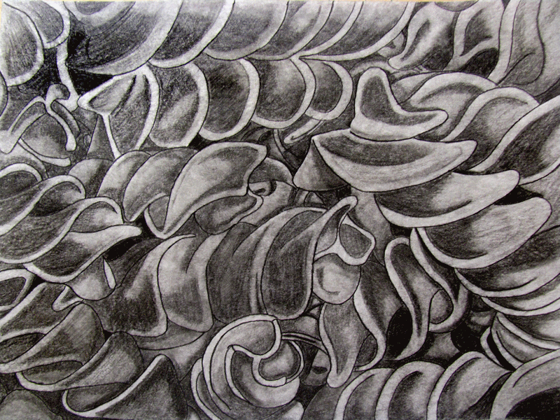 Tri-Central Visual Art: Repetition and Rhythm