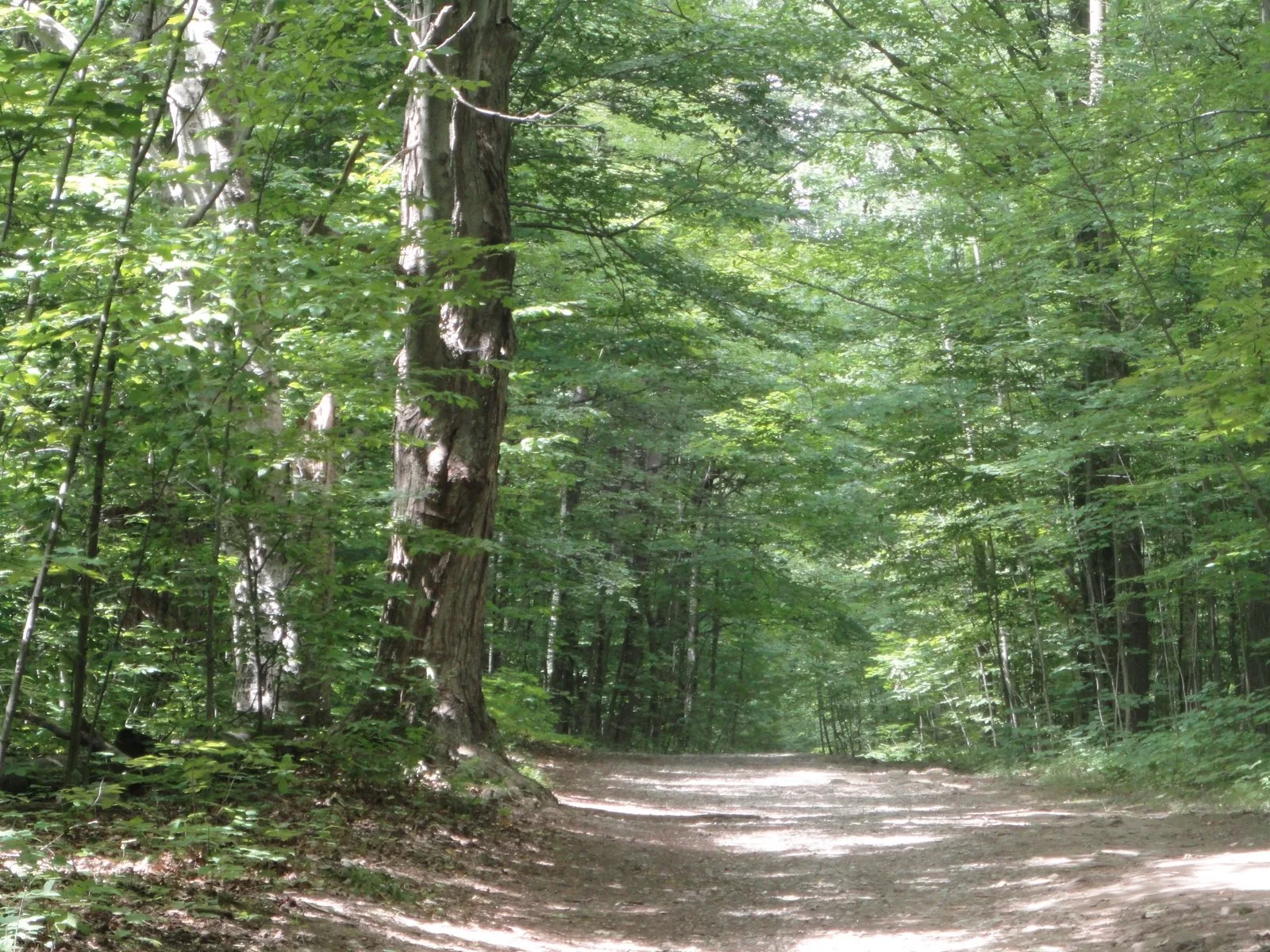 Why Halton Makes a Great Day Trip in Canada