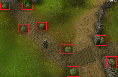 Os Perigos do Pico Glacial ~ Rune TNT: Guia RuneScape.