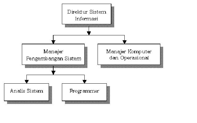 nilla_dyla: KONSEP DASAR ORGANISASI SISTEM INFORMASI