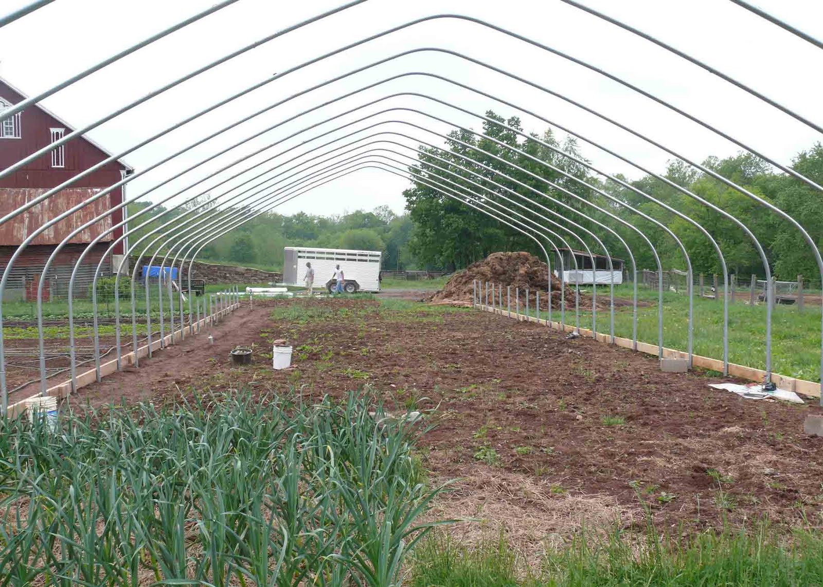 Whitmore Farm: HOOP house heaven! (or why cold greenhouses are COOL!)