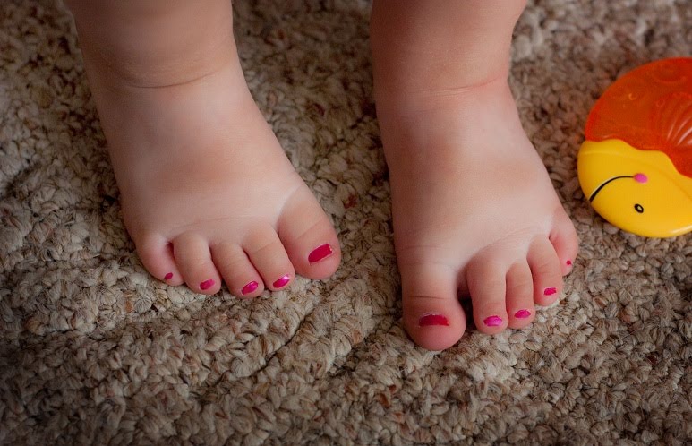 The Volovsek Family: Cheesecake, Cucumber Salsa, and Jalapeno Poppers ...