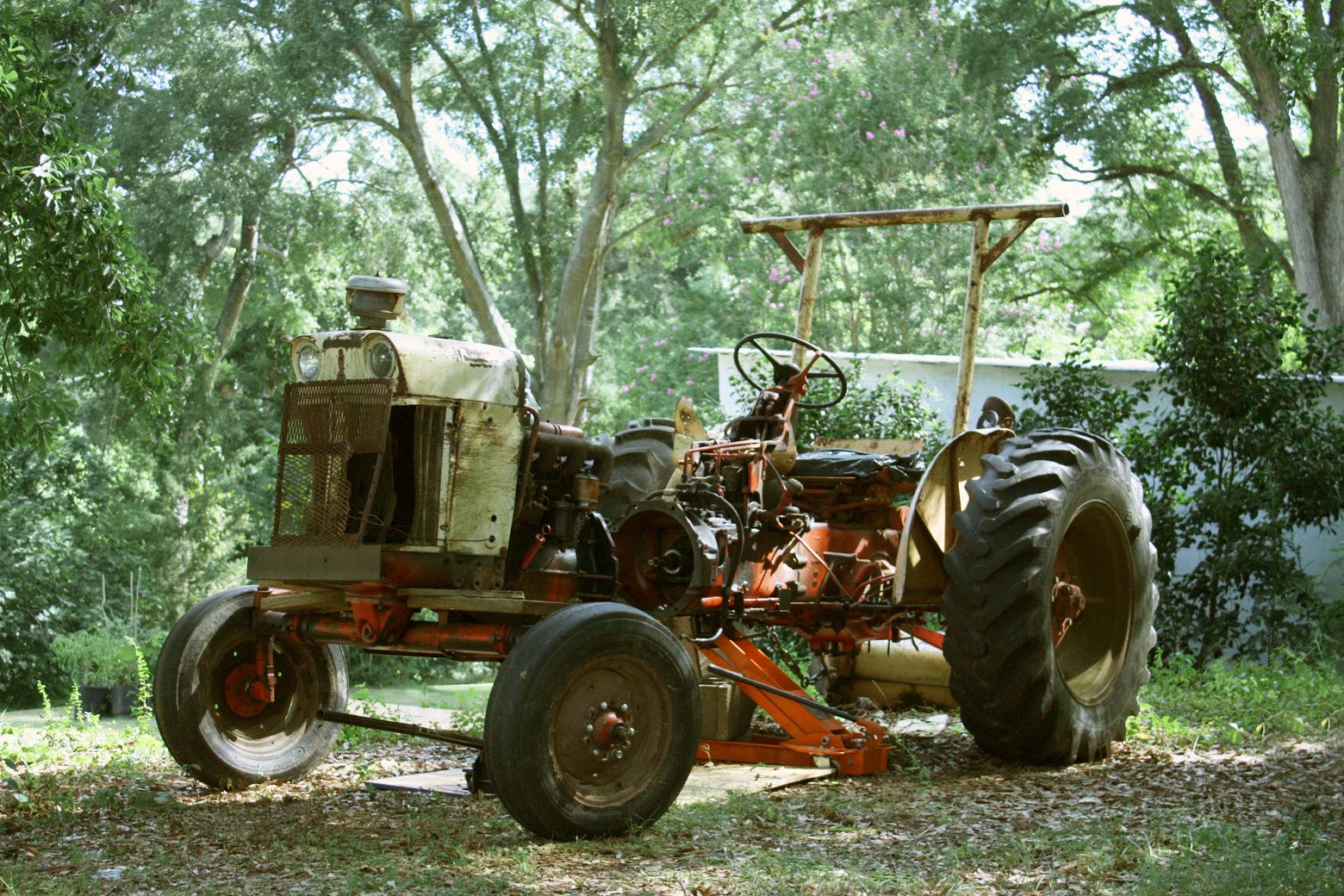 Southern Lagniappe: The Houses of Edwards, Mississippi