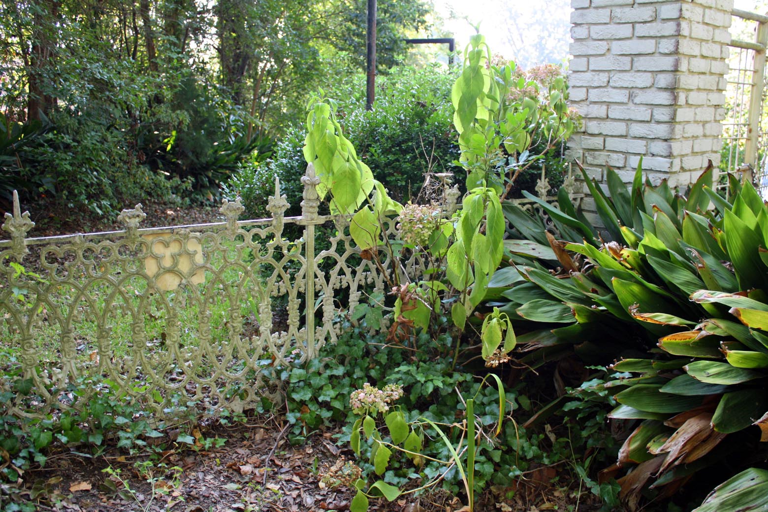 Southern Lagniappe: McRaven House: The Most Haunted House in Vicksburg