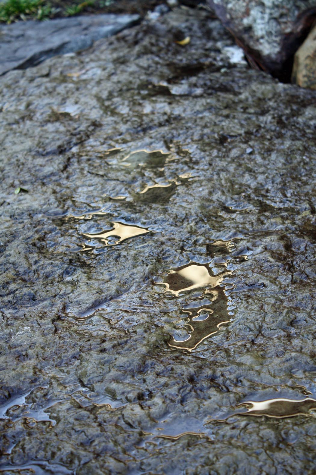 Southern Lagniappe: Magical Raindrops