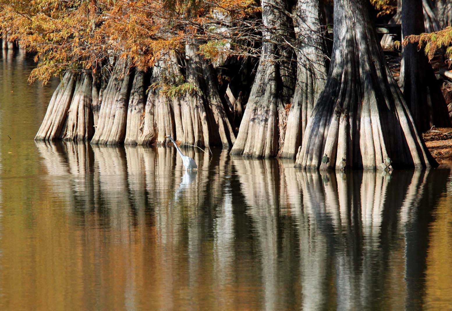 Southern Lagniappe: A visit to Lake Providence, Louisiana