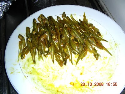 COOKING AND RECIPES: MOUROLA MACHHER JHAL WITH JHUMKO BEGUN ( Small ...