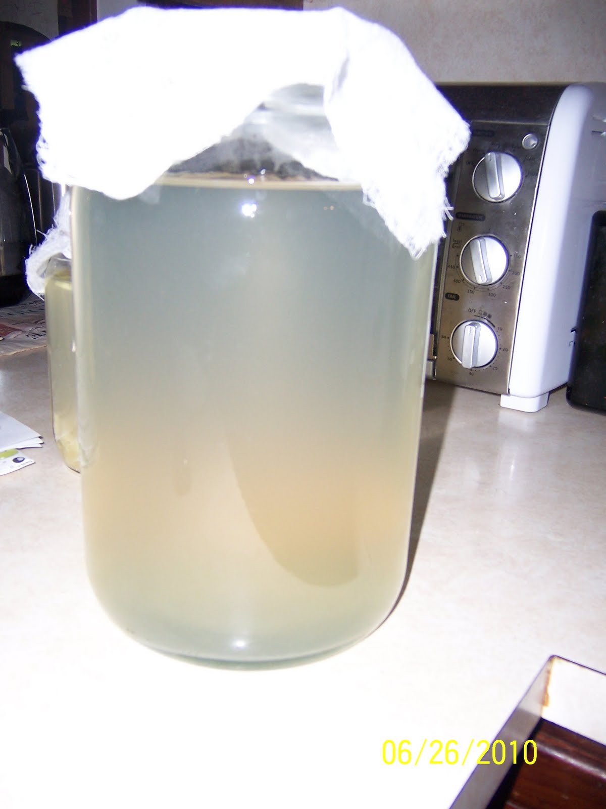 Southern Maiden Blog: How To Make Ginger Soda