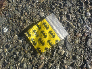 I Should've Thought this Through: That's not a Ziplock Brand crack bag ...