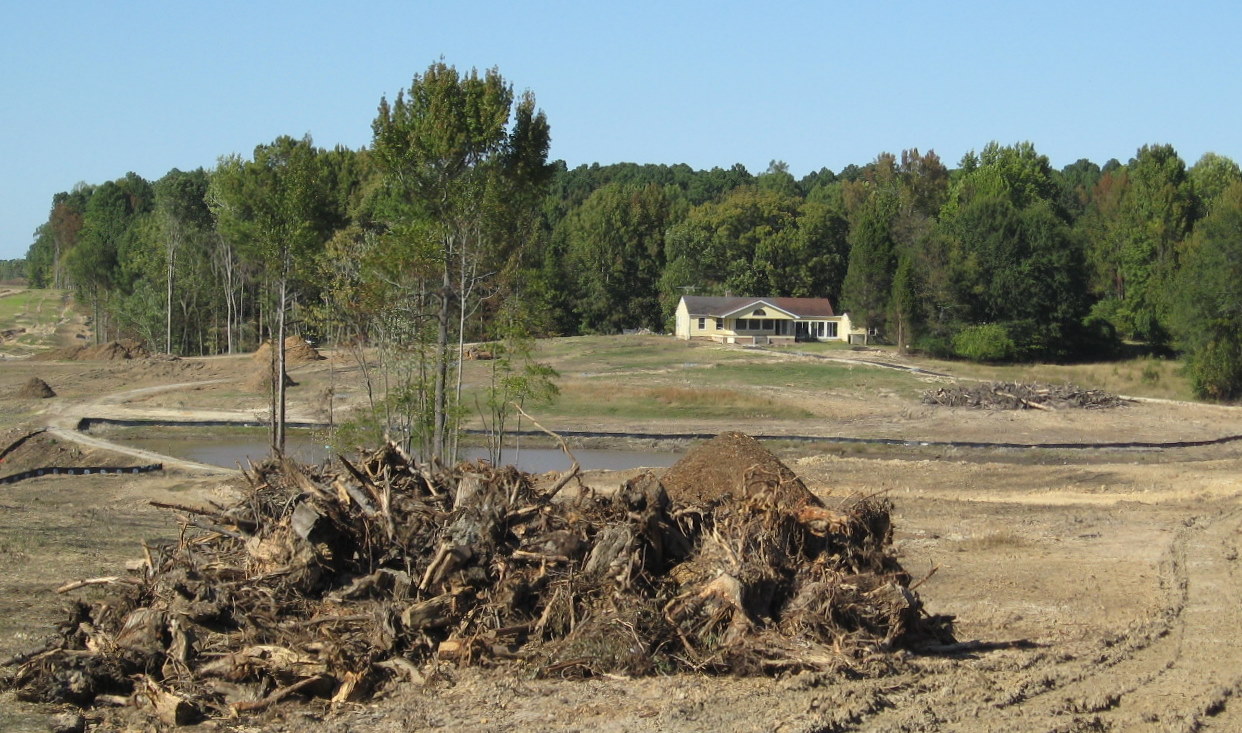 Tri-Ex Progress Photos