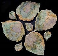 Stoneleaf tile & mosaic