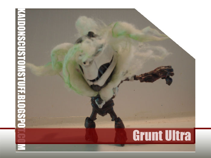 Kaidon's Custom Stuff: Grunt Ultra