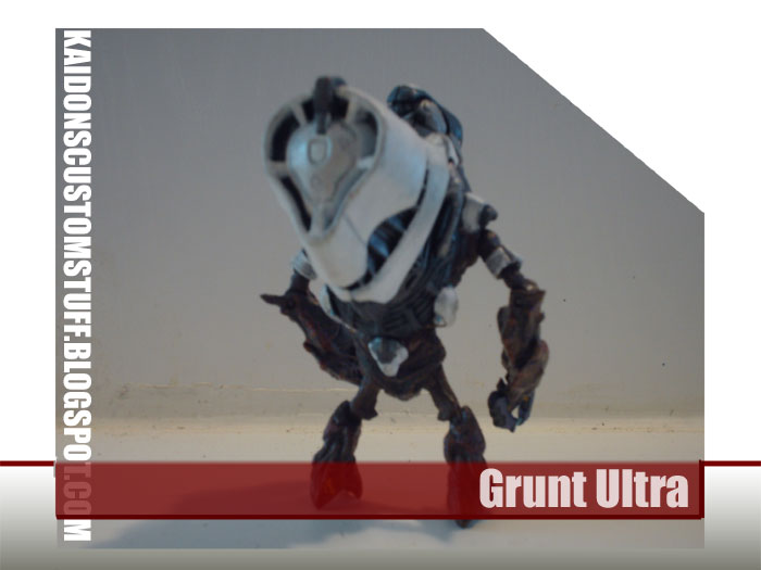 Kaidon's Custom Stuff: Grunt Ultra