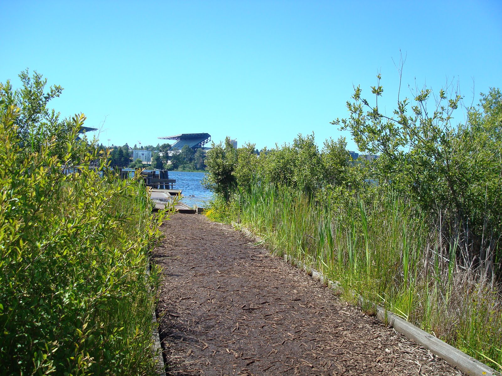 Things to do in Seattle: Arboretum Waterfront Trail - Free