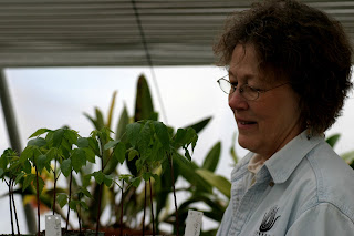 Powell Gardens' Blog: The Birth of Trees