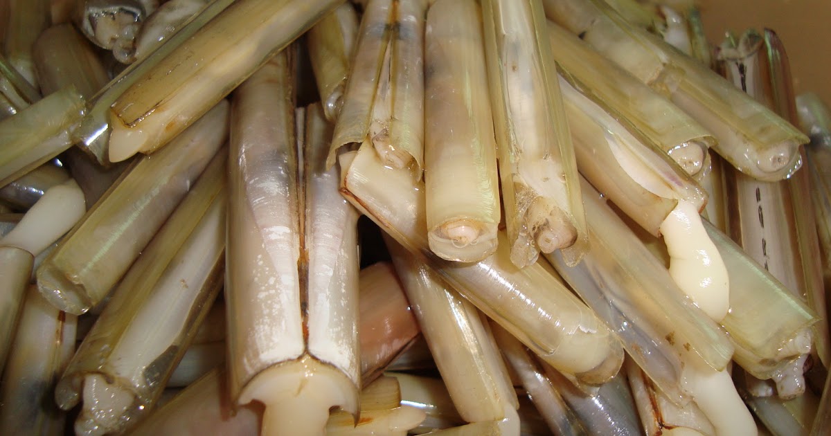 Just 40: Fabulously young at hearts: Ambal Curry