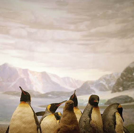 Something Between Want and Desire: Diorama