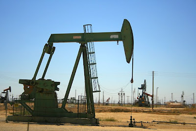 One photo per day throughout 2008: 224/366- Oil Derek