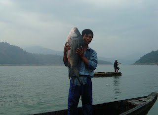 India Tourism: Doyang Lake, Nagaland, India.