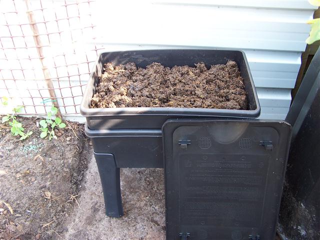 Candidimage Photography: Worm Cafe, Worm Farm