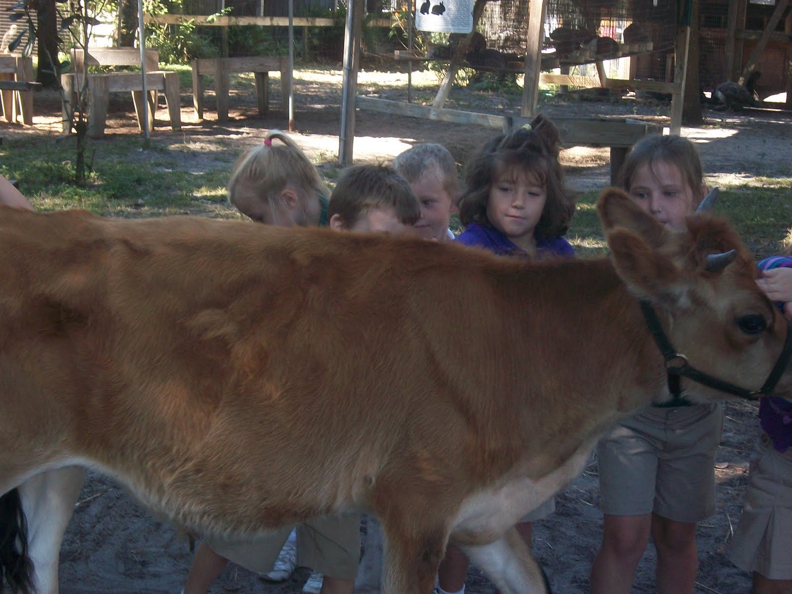 Our Story: Uncle Donald's Farm