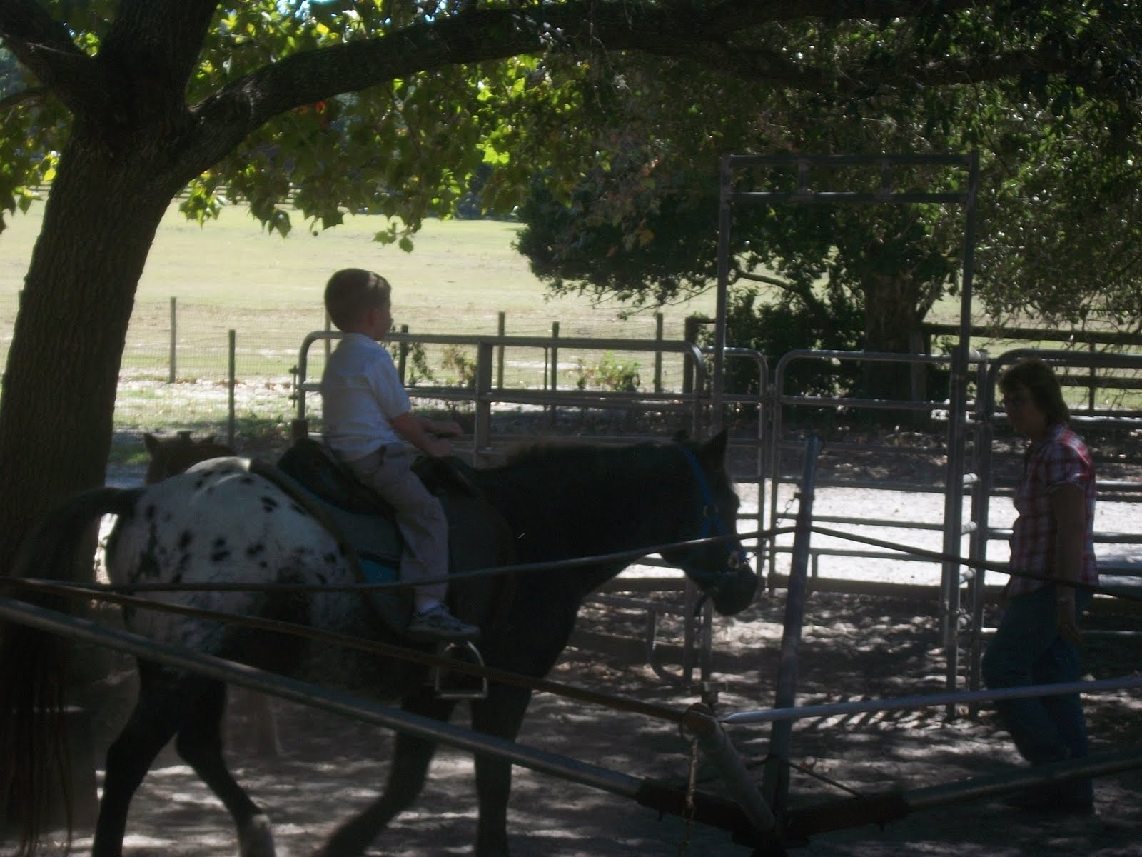 Our Story: Uncle Donald's Farm