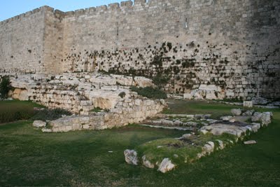 Larry Helyer's Blog: Behold the man!